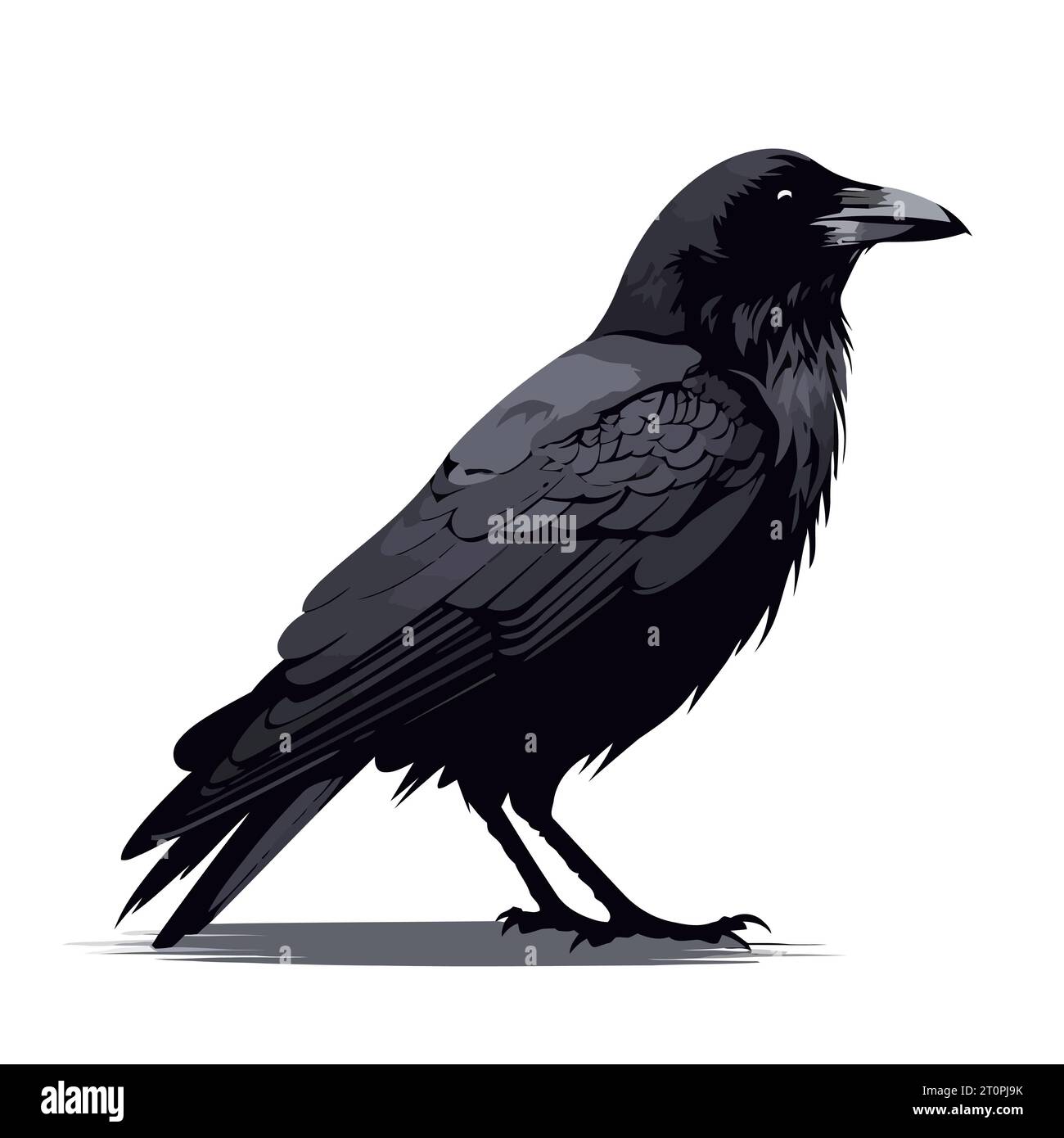 Crow image. Black crow isolated on white background. Illustration of a ...