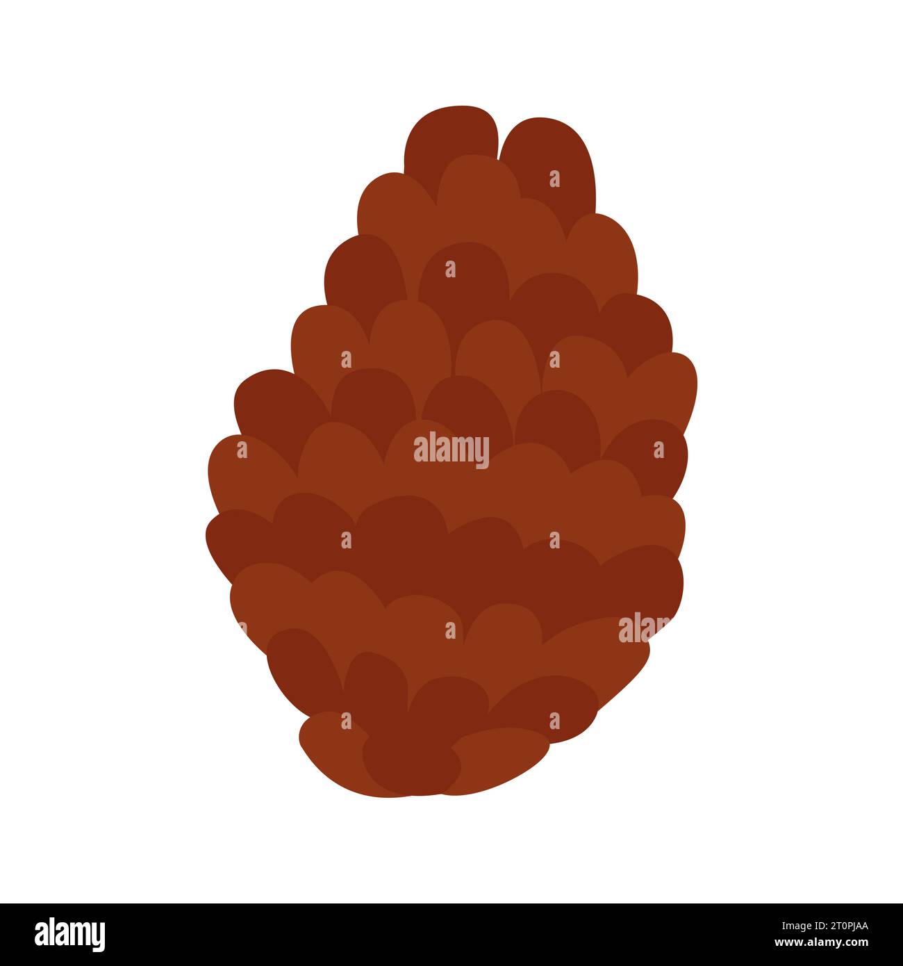 Coniferous seed cone Stock Vector Images - Alamy