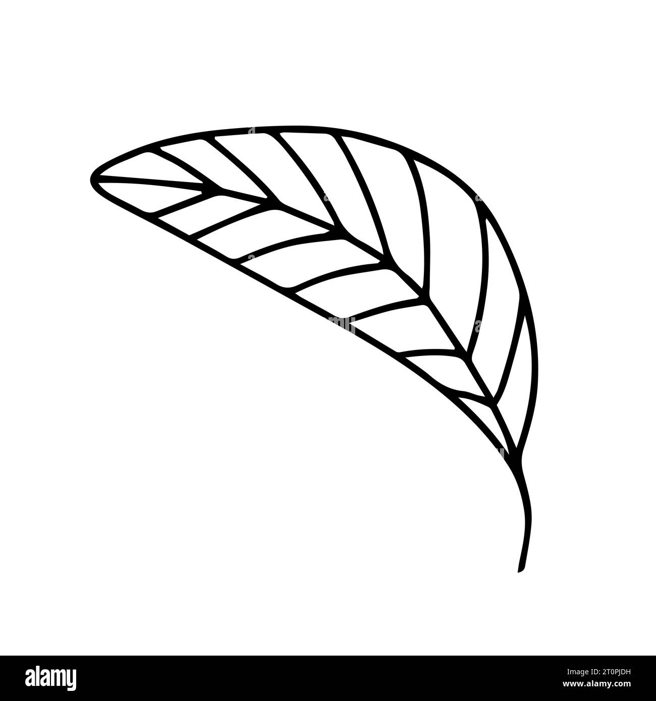 doodle leaf sketch Stock Vector Image & Art - Alamy