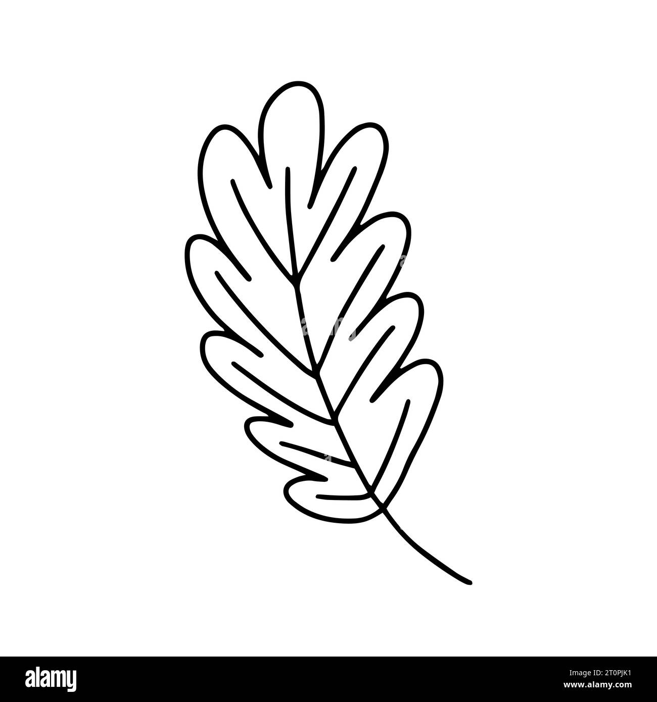 doodle leaf sketch Stock Vector Image & Art - Alamy