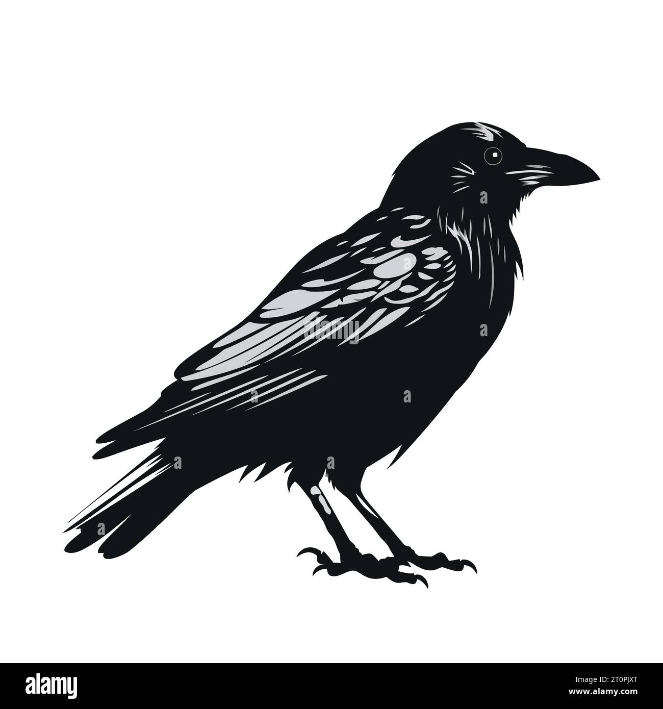 Crow image. Black crow isolated on white background. Illustration of a ...