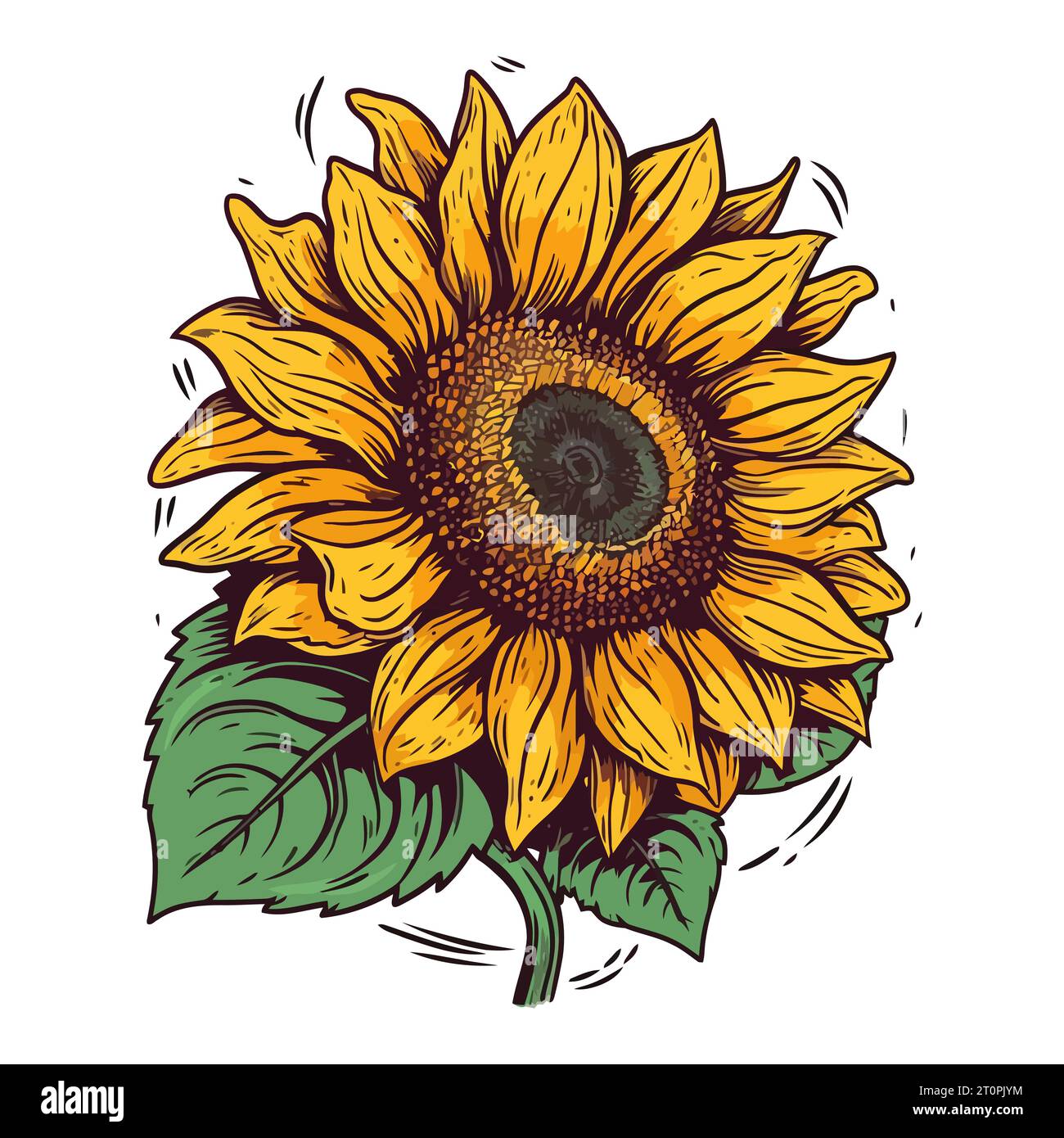 Sunflower vectors hi-res stock photography and images - Alamy