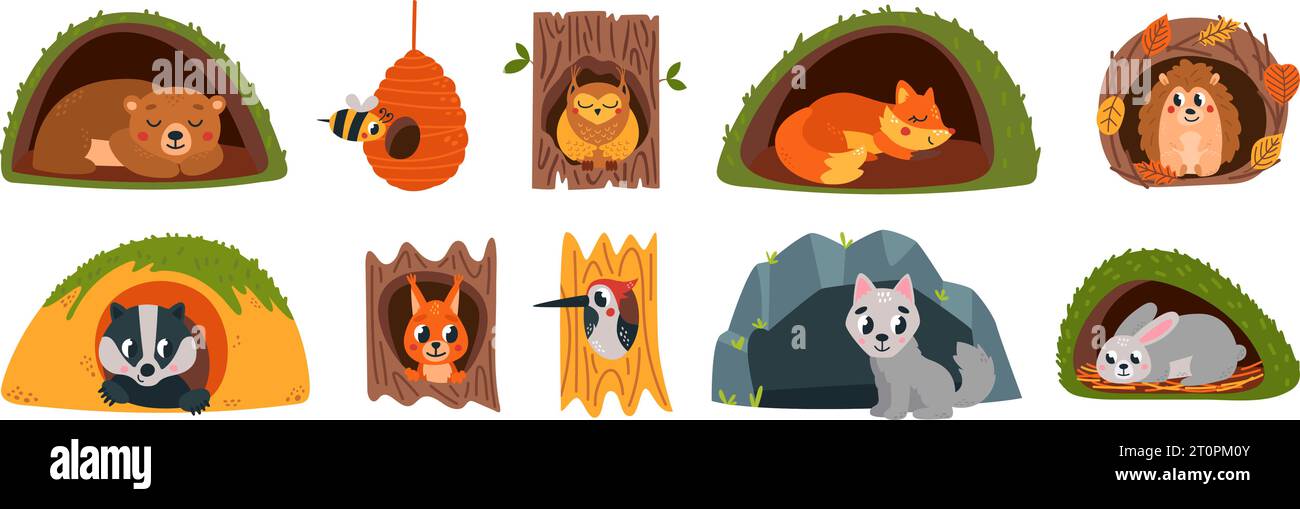 Animals inside burrows and hollows. Wild animal sleep, woodland ...