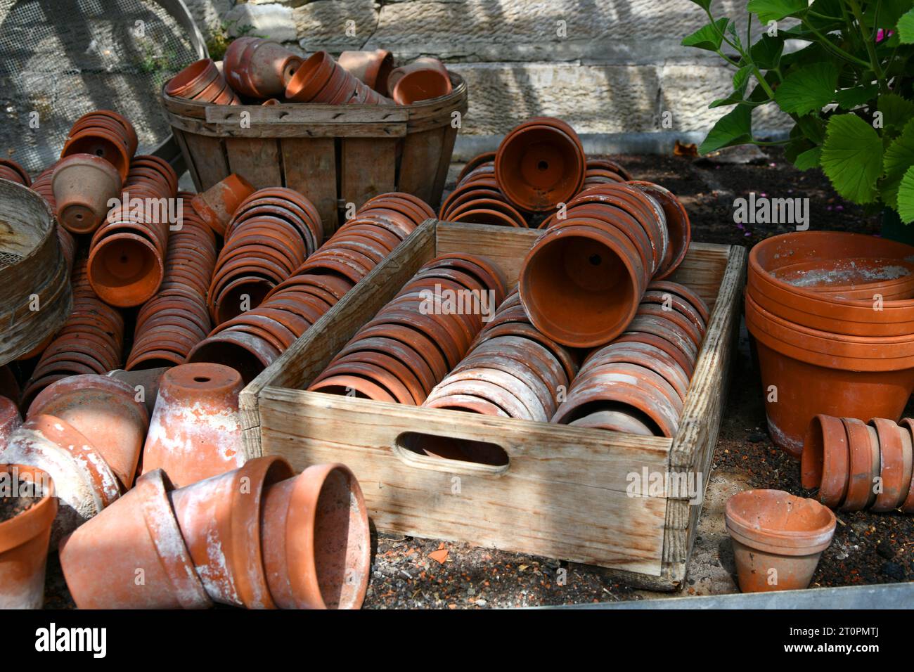 Old flower pots hi-res stock photography and images - Alamy