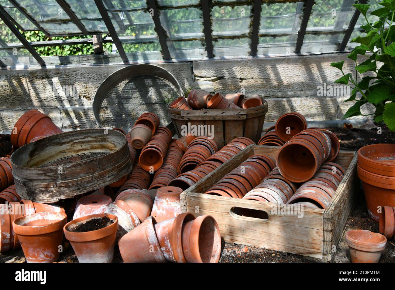 Old flower pots in a wooden box Stock Photo - Alamy