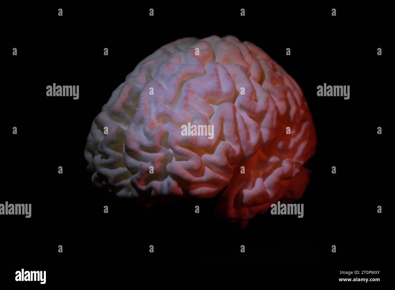 Human brain 3d mri hi-res stock photography and images - Alamy
