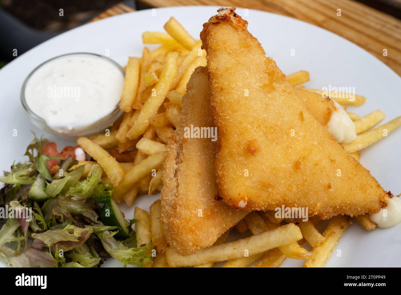 Smazeny Syr Fried Edam Cheese with French Fries and Tartar Sauce Stock ...