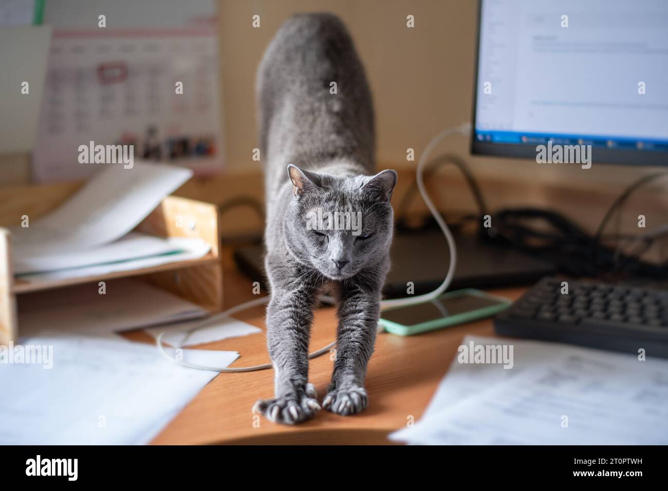 Russian office interior hi-res stock photography and images - Alamy
