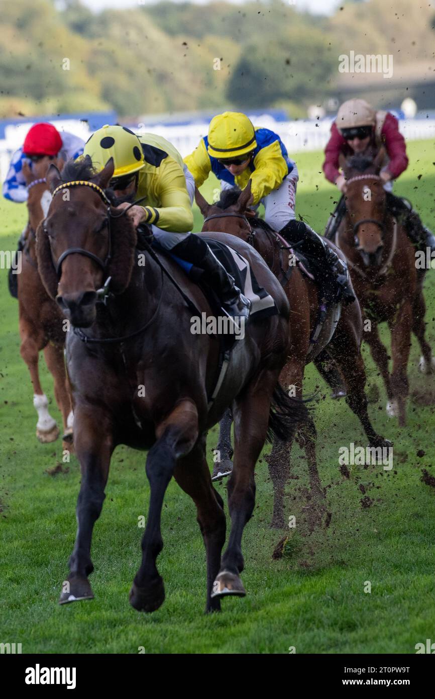 Ascot, Berkshire, UK. 7th October, 2023. Horse Emaraaty Ana ridden by ...