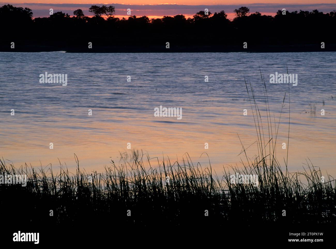 Rynearson Pool #1 dawn from Blind on Observation Tower Trail, Necedah ...