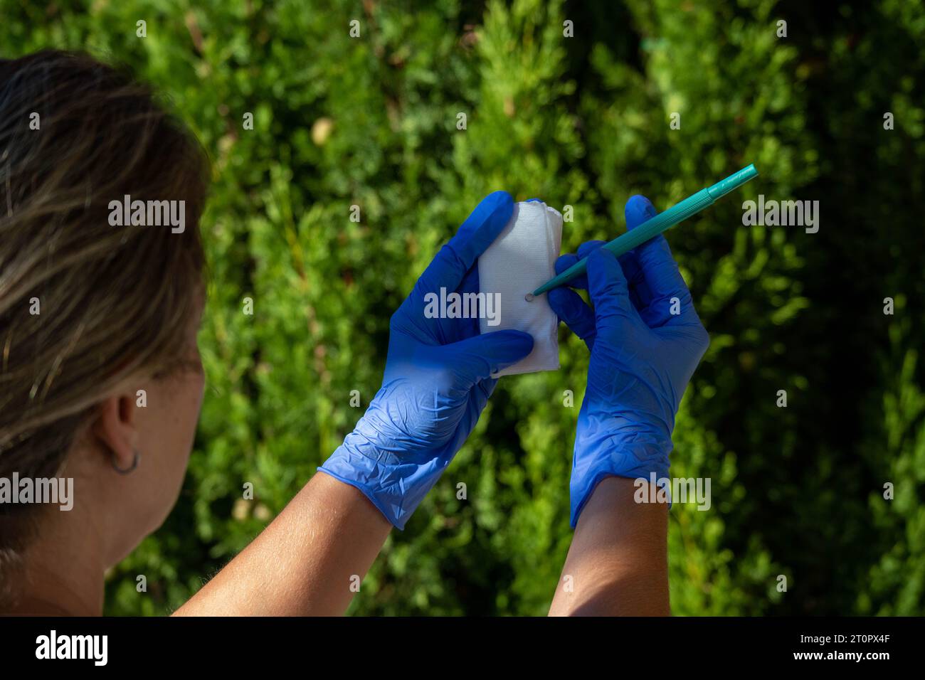 nurse debriding a wound in nature Stock Photo - Alamy