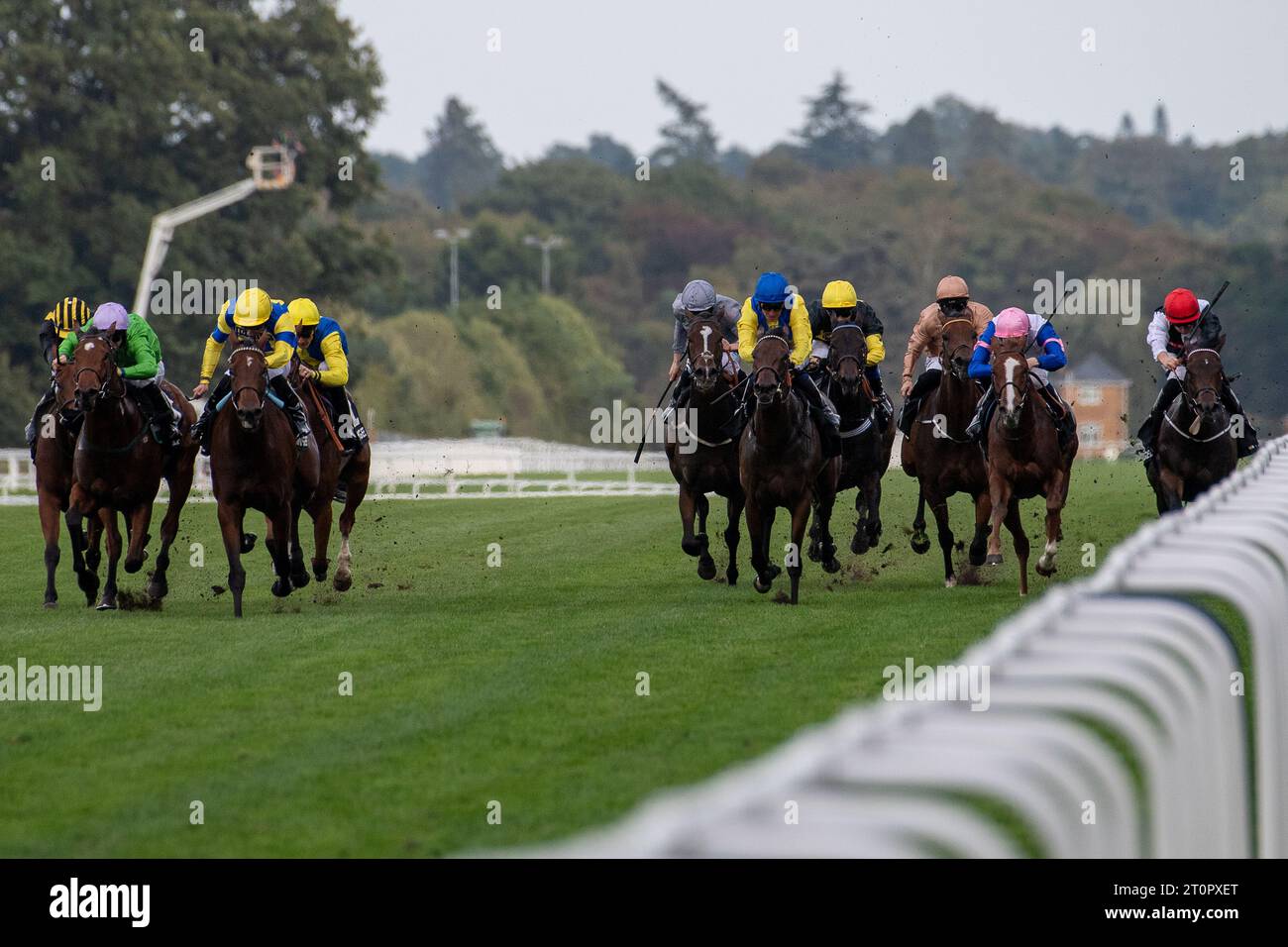 Ascot, Berkshire, UK. 7th October, 2023. Horse Cell Sa Beela ridden by ...
