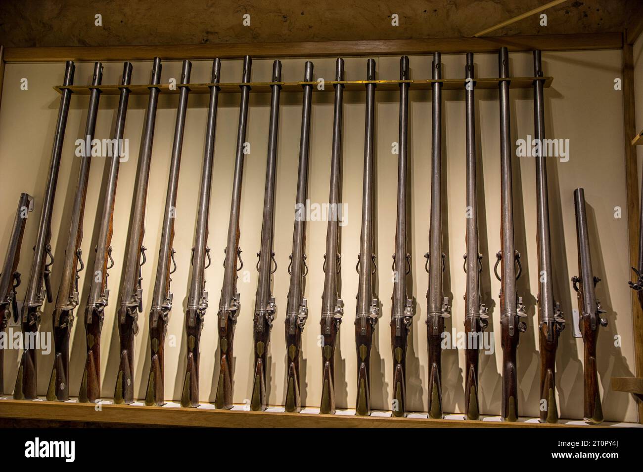 Hunting guns collection hi-res stock photography and images - Alamy
