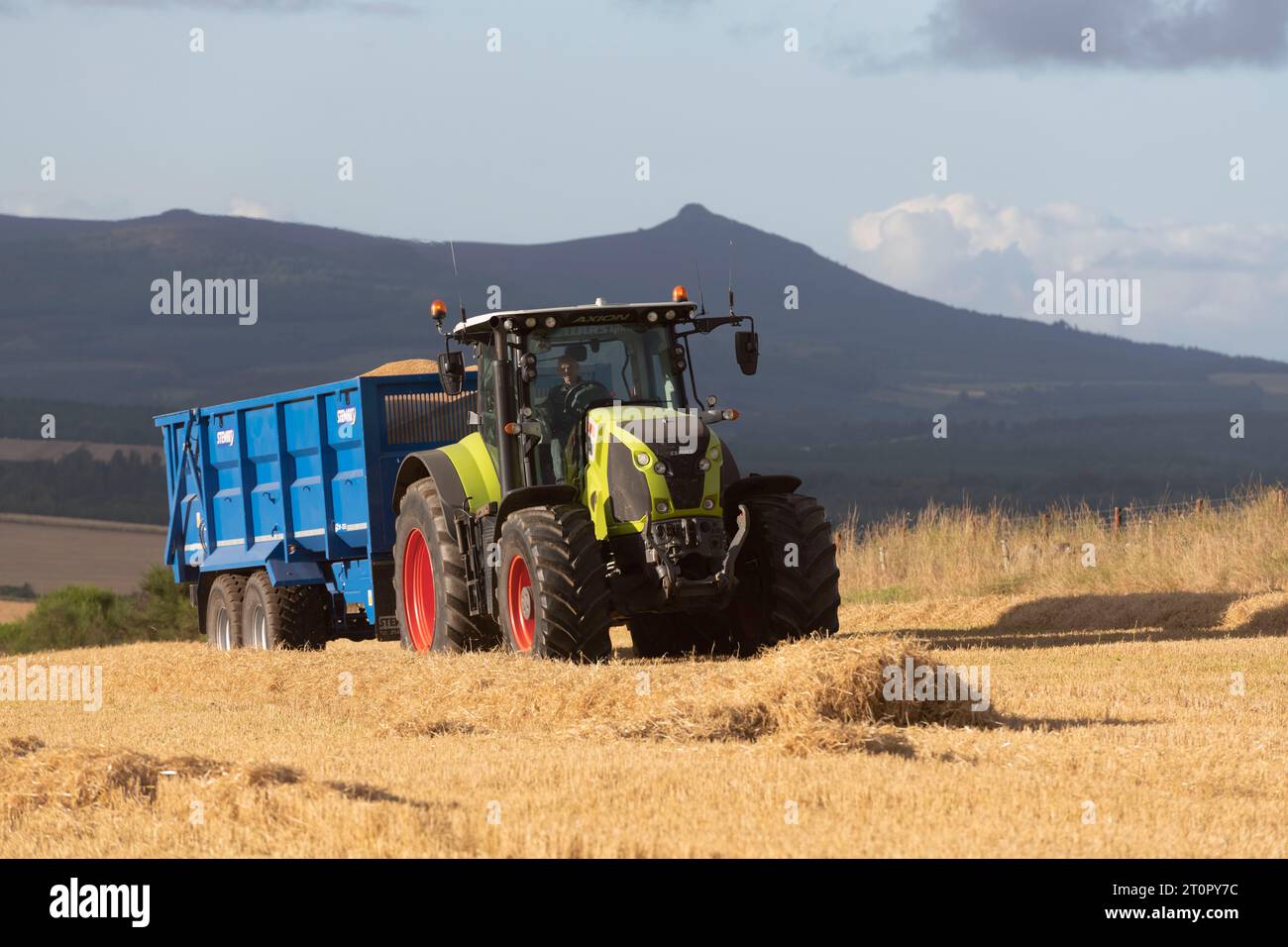 A Claas Tractor with a Trailer of Grain Passing Between Rows of Straw ...