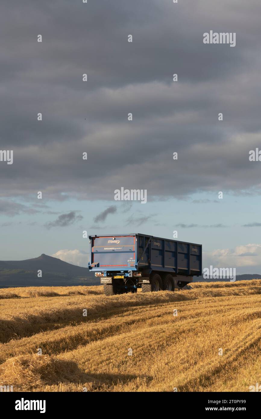 A Blue Grain Trailer Standing Between Rows of Straw in a Field of ...