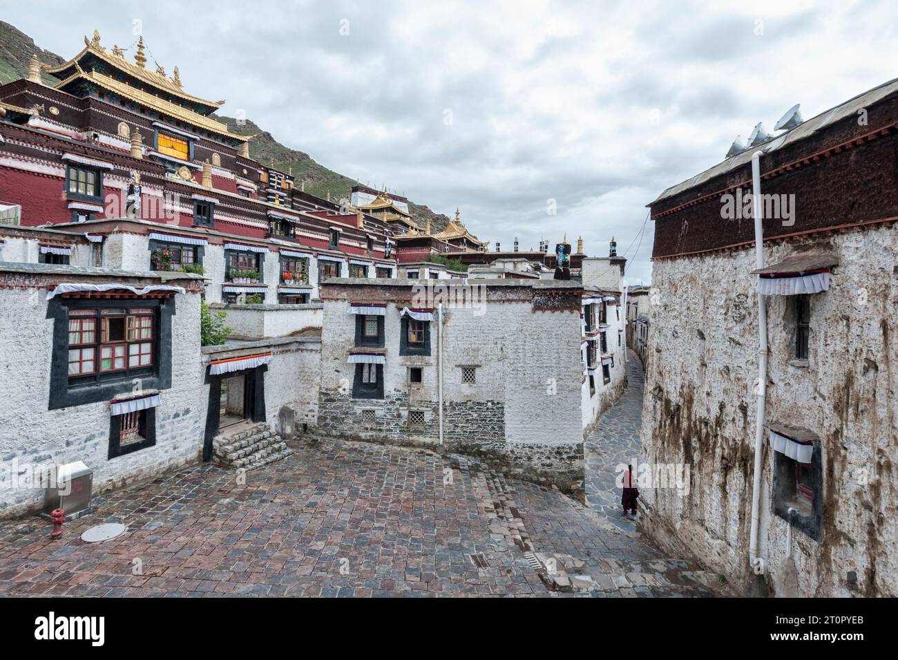 Tashilhunpo monastery meditation hi-res stock photography and images ...