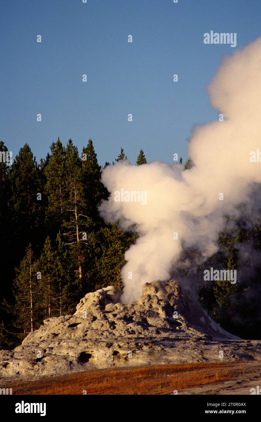 The castle geyser upper geyser basin hi-res stock photography and ...