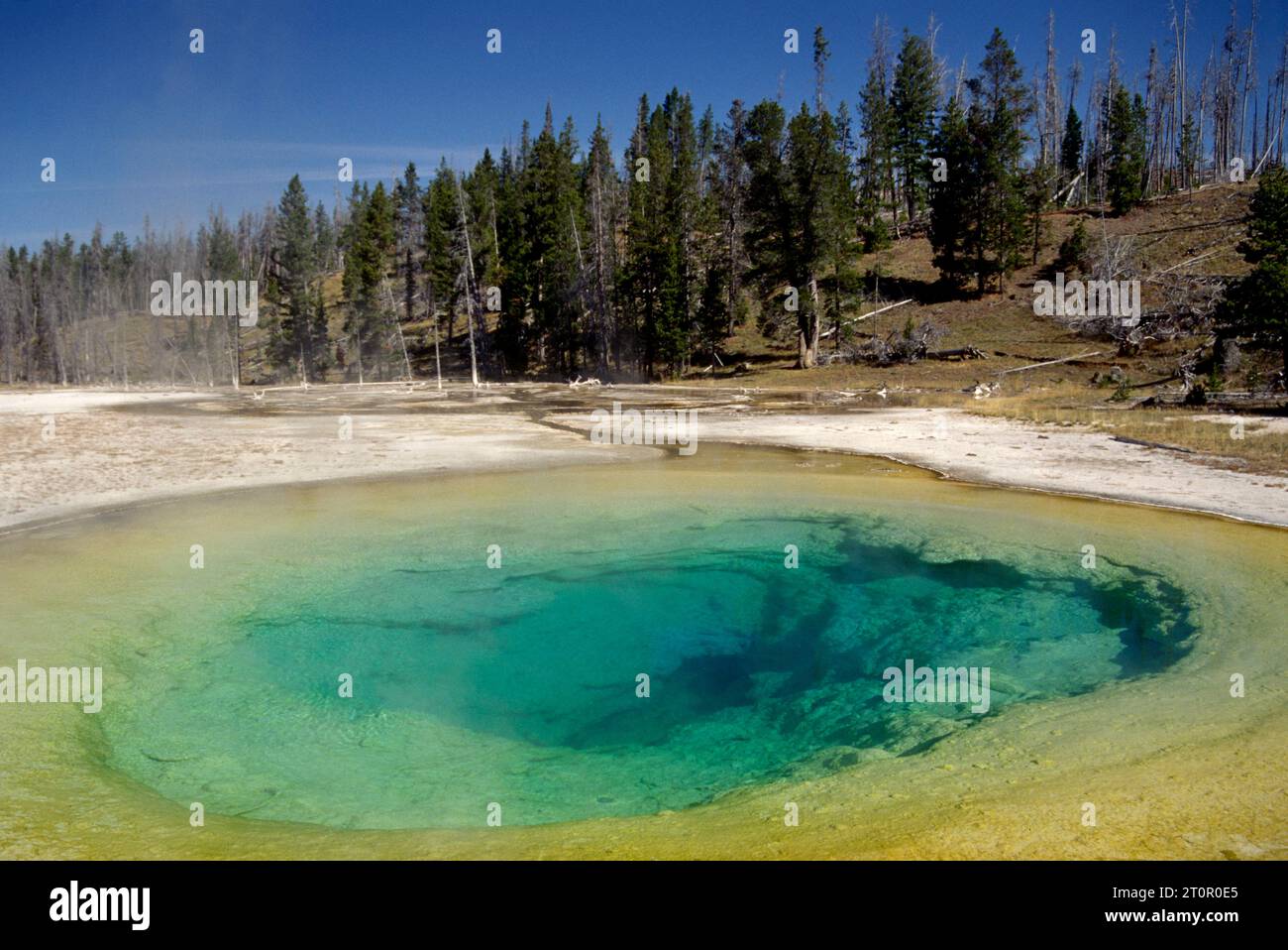 Hydrothermal yellowstone hi-res stock photography and images - Alamy