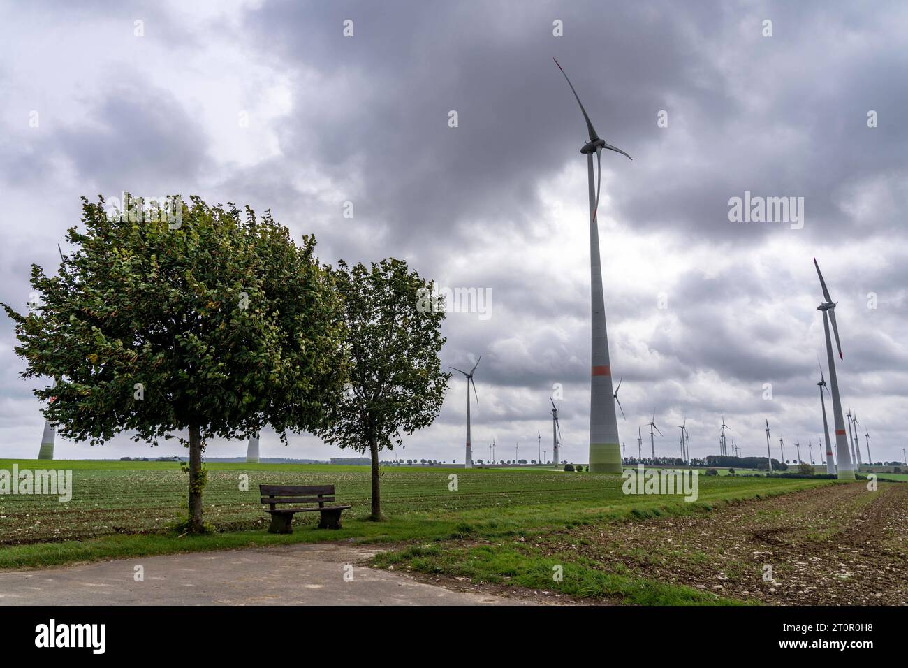 Windpark nordöstlich von Bad Wünnenberg, Feldweg mit Parkbank, NRW ...