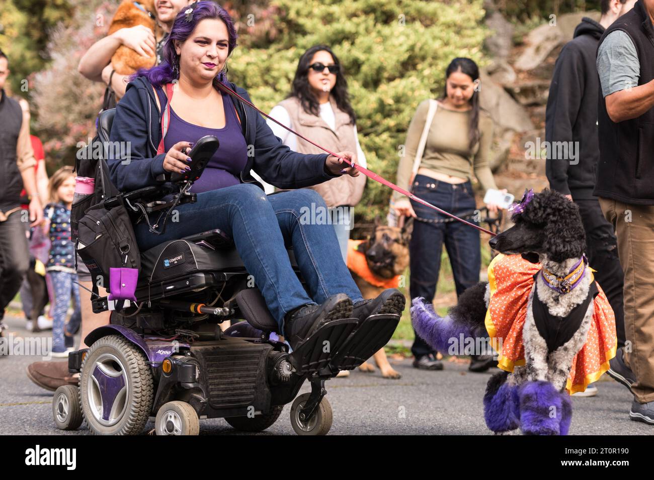 Seattle, USA. 8th Oct 2023. The Volunteer Park Halloween Pet Parade ...