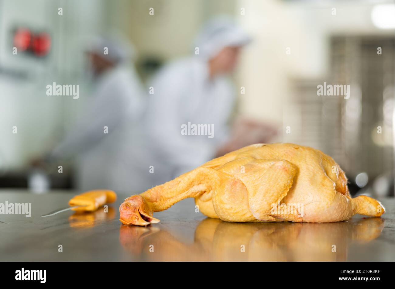 Raw dressed chicken lying on cutting table of butchers shop Stock Photo ...