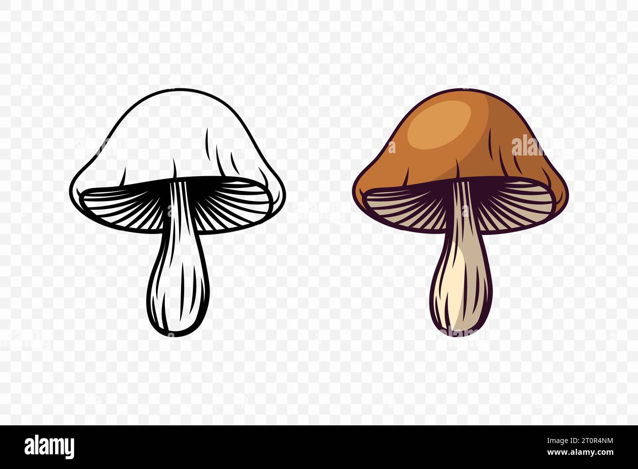 Vector Hand Drawn Cartoon Mushroom with Outline Icon Set Isolated ...