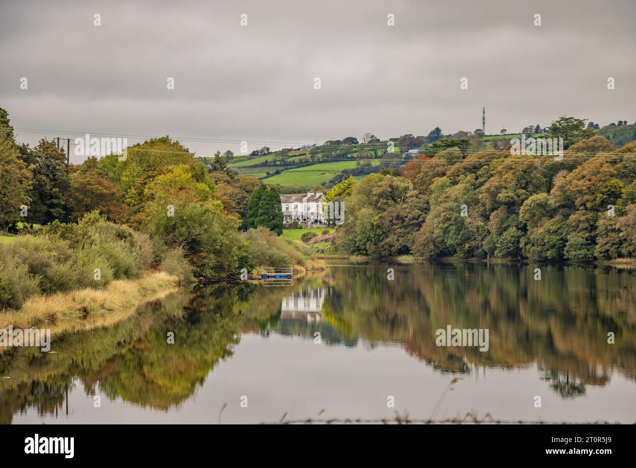 Macroom hi-res stock photography and images - Alamy