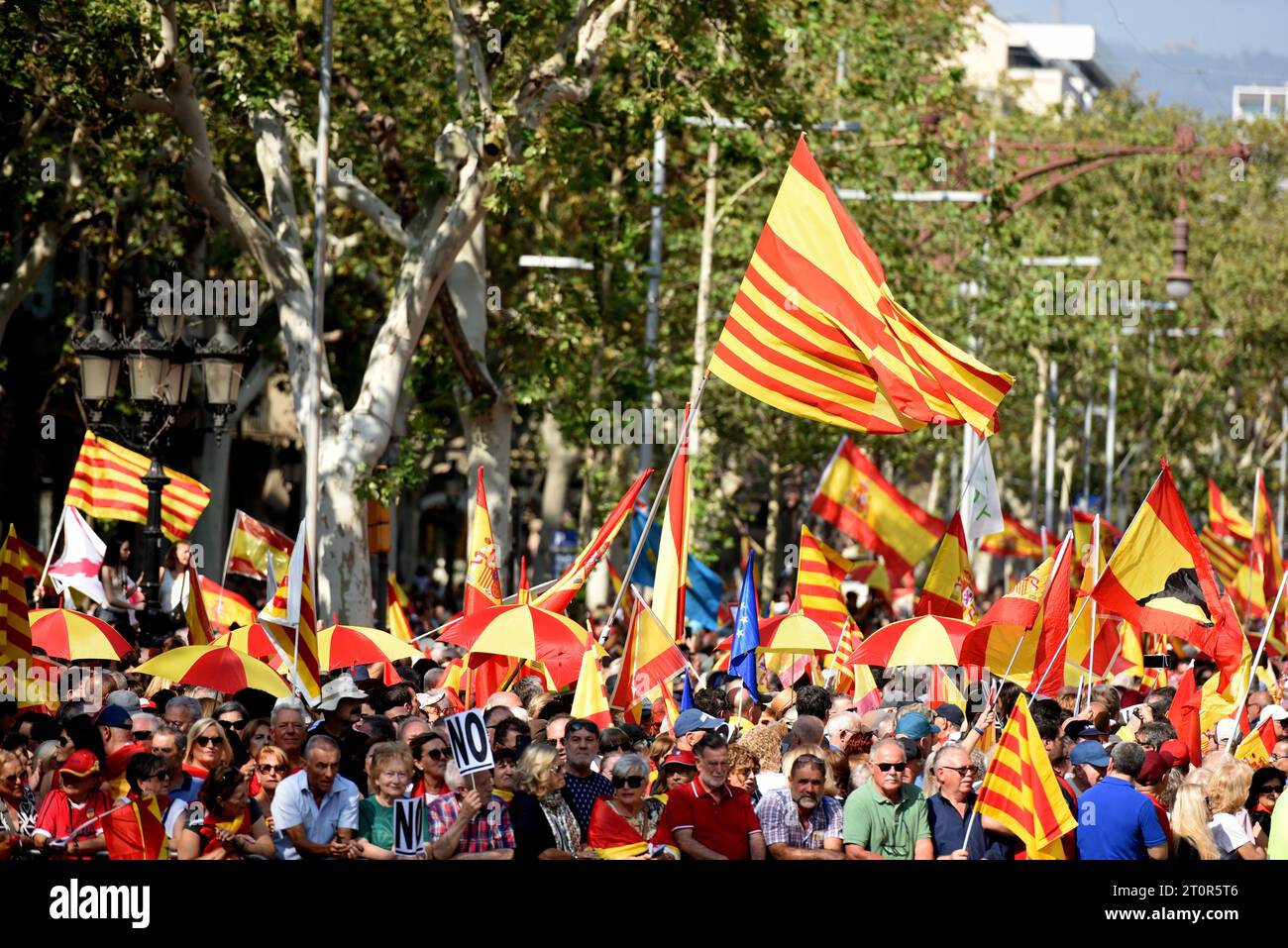 Barcelona, Spain. 08th Oct, 2023. A crowd of protesters with flags ...