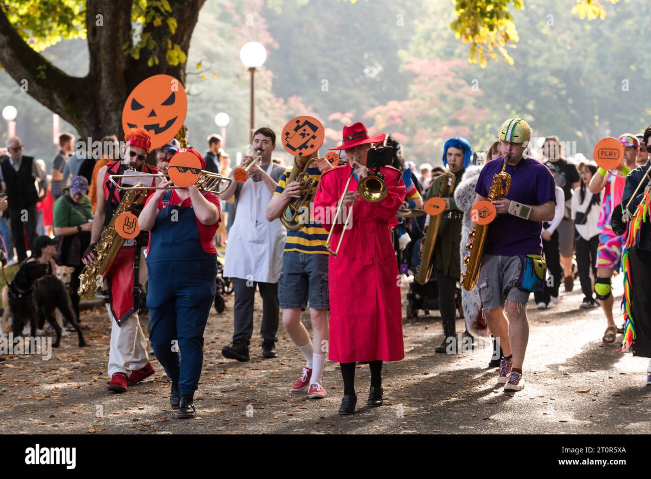 Cat extravaganza hi-res stock photography and images - Alamy