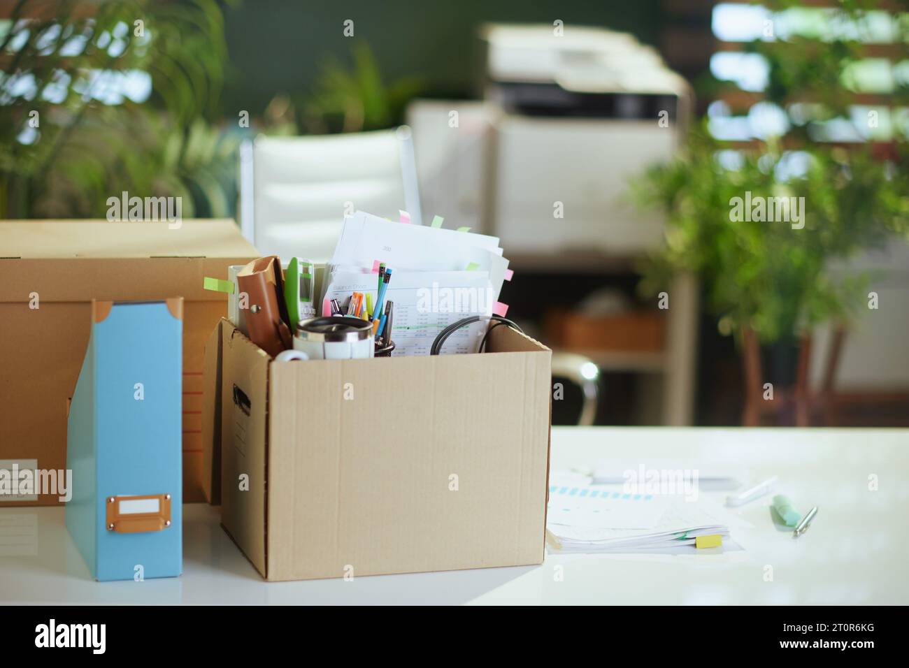 New job. table in modern green office with personal belongings in ...