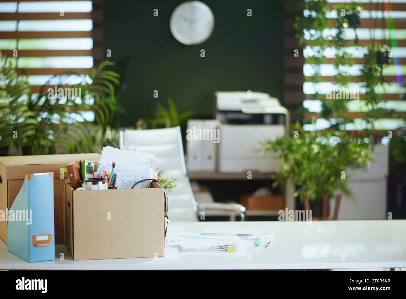 New job. desk in modern green office with personal belongings in ...