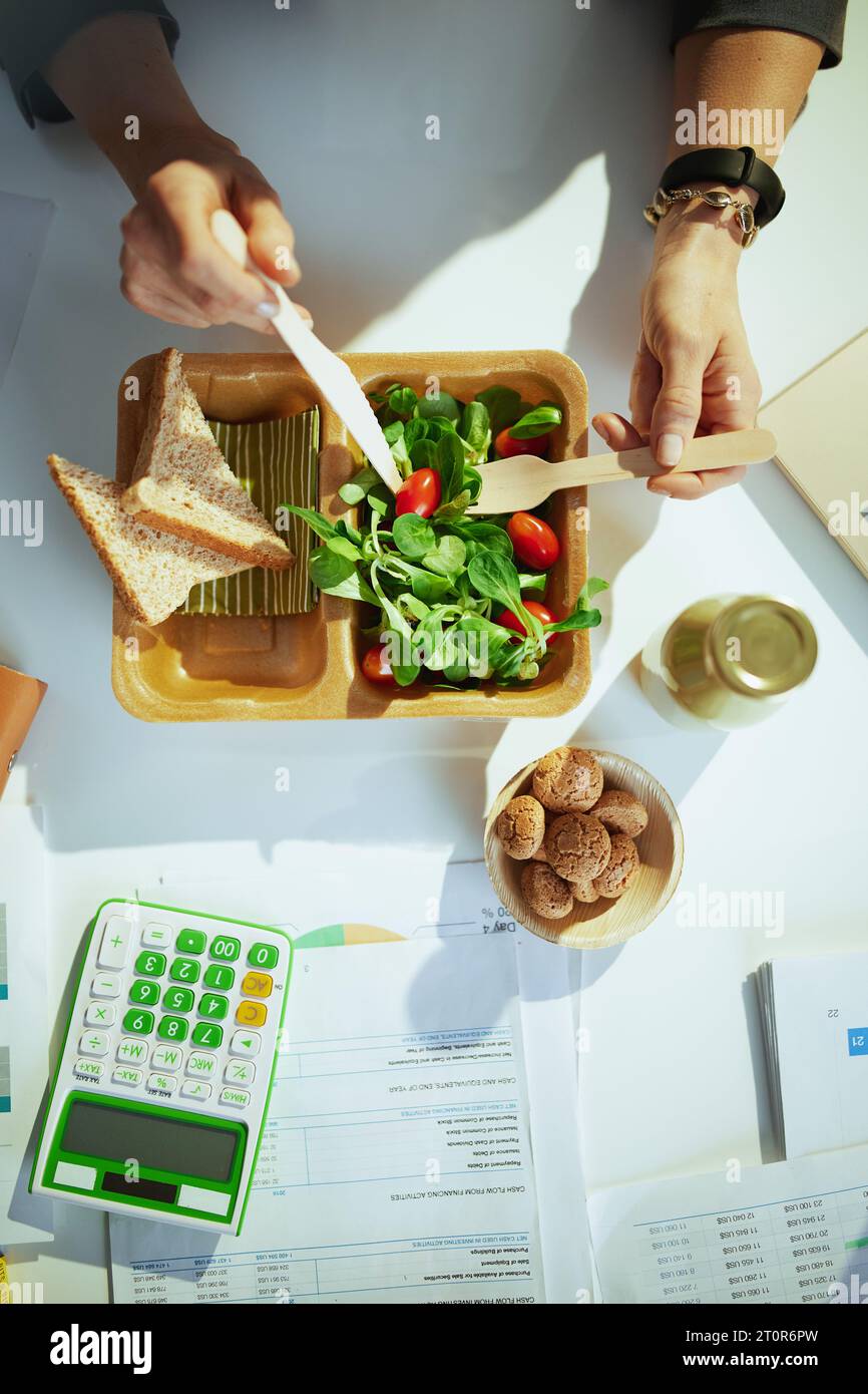 Sustainable workplace. Upper view of business woman in green office ...