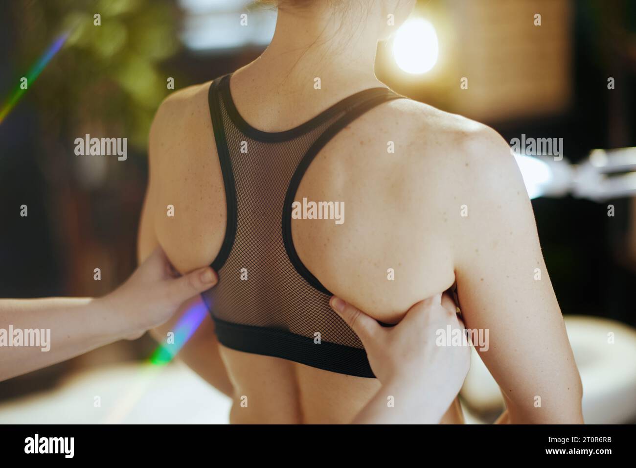 Healthcare time. Closeup on medical massage therapist in massage cabinet checking clients back ...