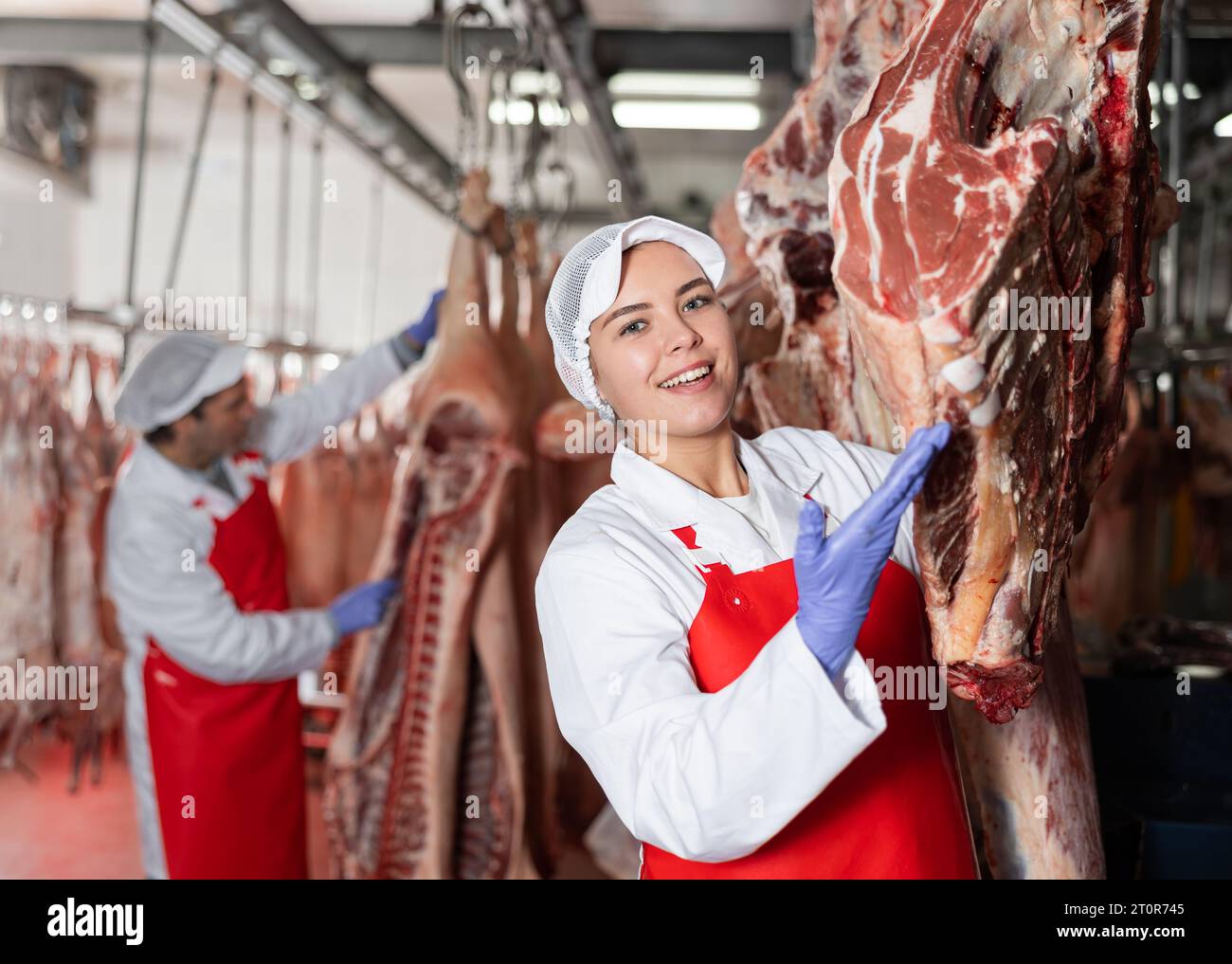 Female butcher shop worker checking raw beef hanging in cold storage ...