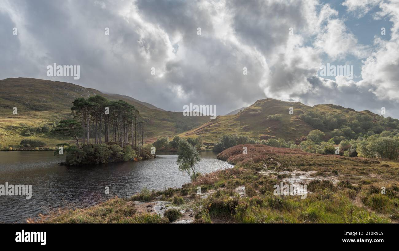 Island of Eileen na Moine on Loch Eilt, Scotland - a tiny little island ...
