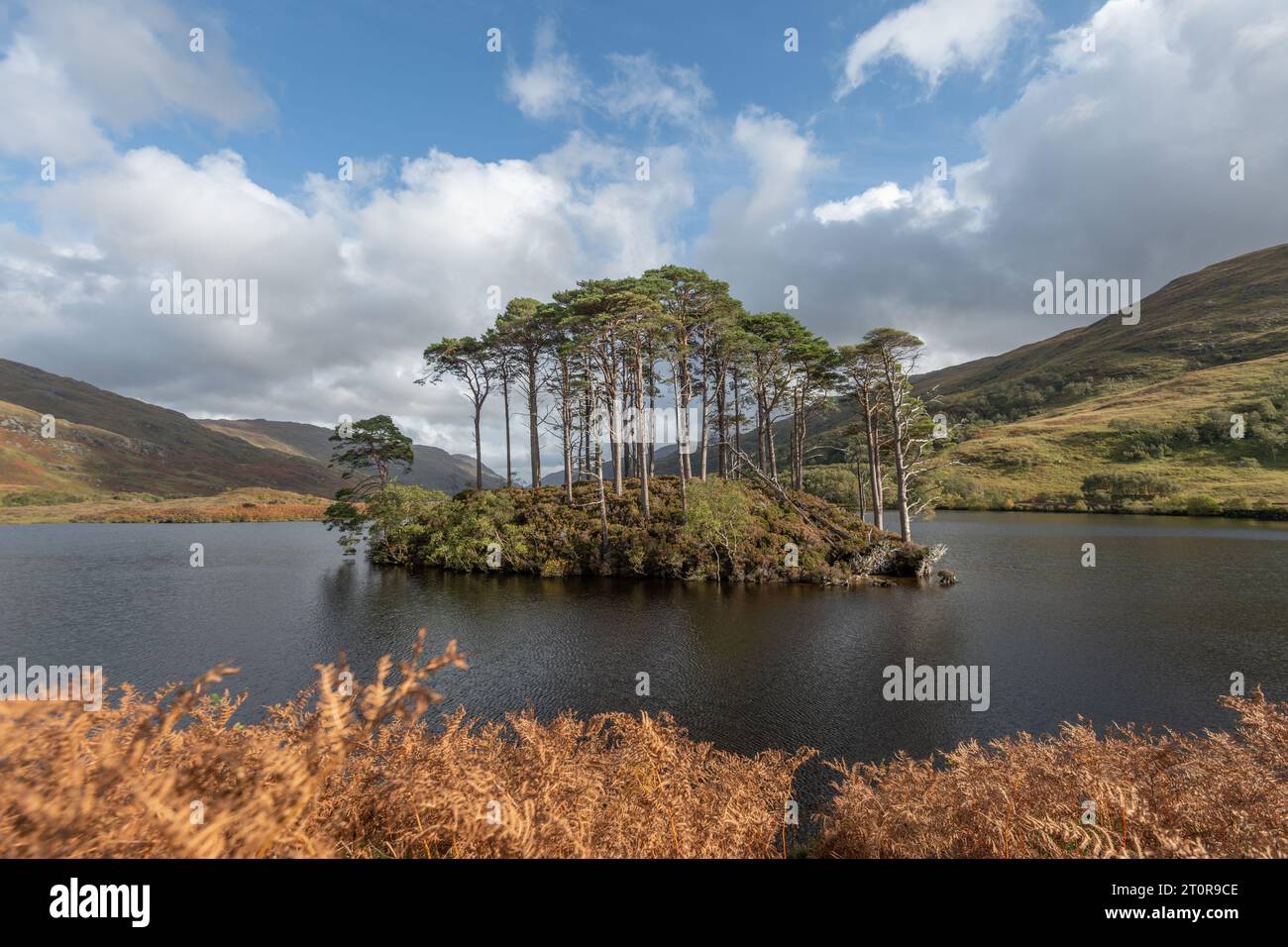 Island of Eileen na Moine on Loch Eilt, Scotland - a tiny little island ...