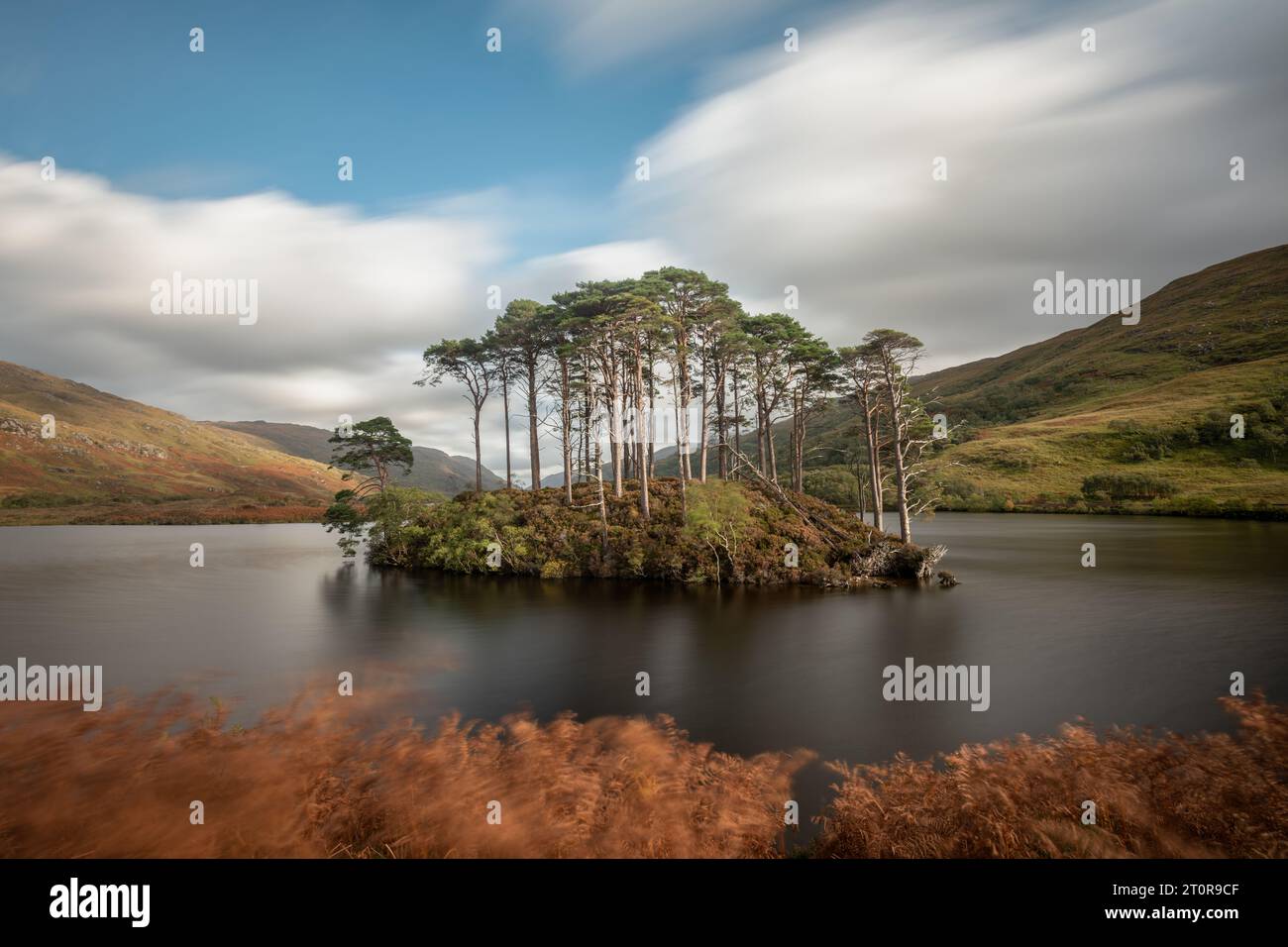 Island of Eileen na Moine on Loch Eilt, Scotland - a tiny little island ...