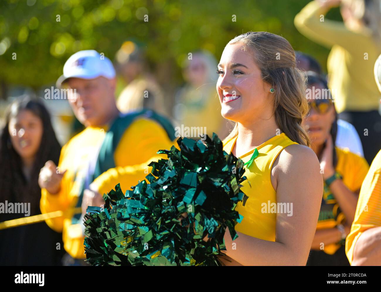 October 7 2023: Baylor Bears cheerleaders and fans during the Bear Walk ...