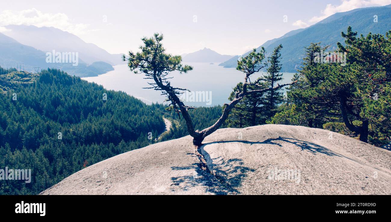 Quercus Point lookout of Murrin Provincial Park, BC Stock Photo - Alamy