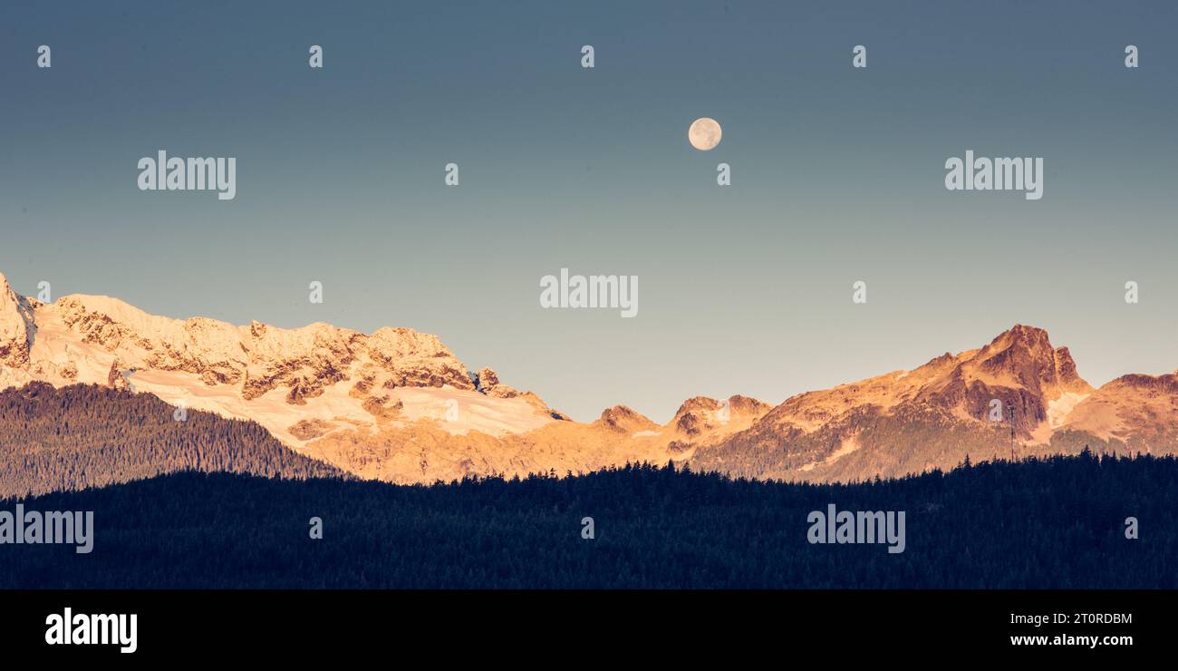 Tantalus hi-res stock photography and images - Alamy