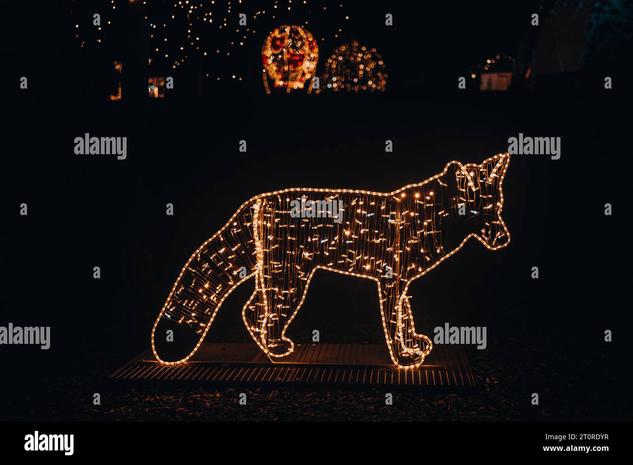 Christmas Glowing animal figures.fox from garlands in the dark ...