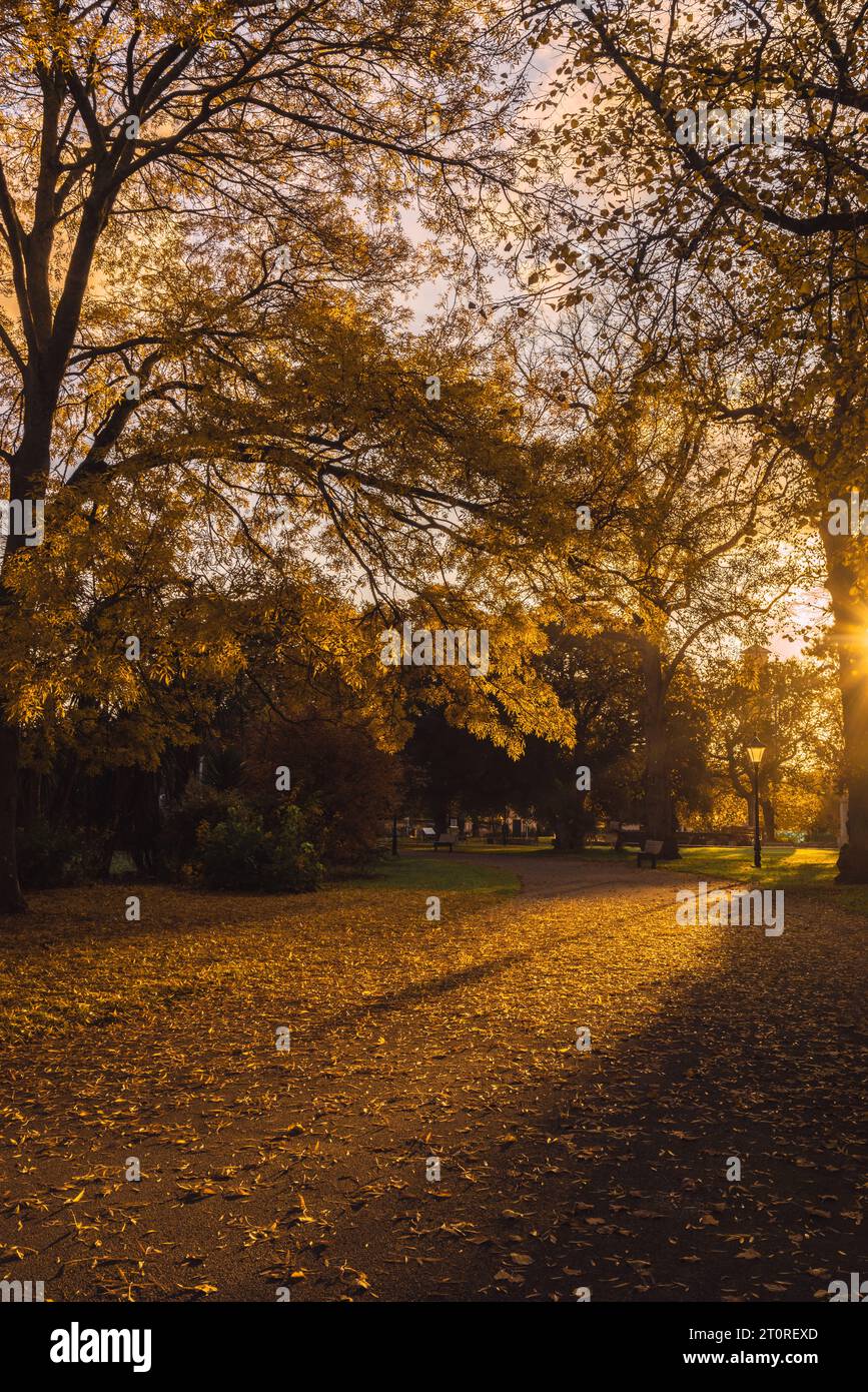 Southampton city parks hi-res stock photography and images - Alamy