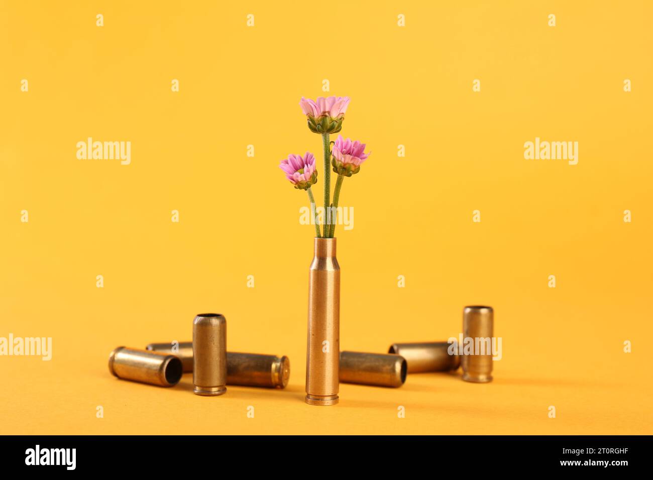 Bullet cartridge cases and beautiful chrysanthemum flowers on yellow ...