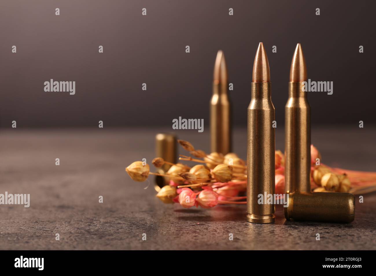 Bullets and beautiful dry plant on grey textured table. Space for text ...