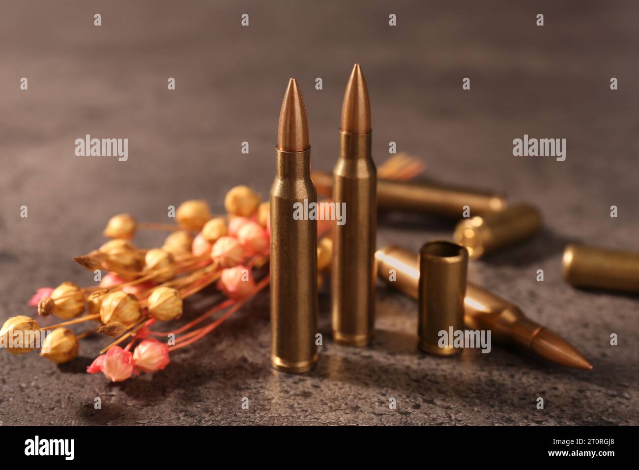 Bullets cartridge case beautiful hi-res stock photography and images ...