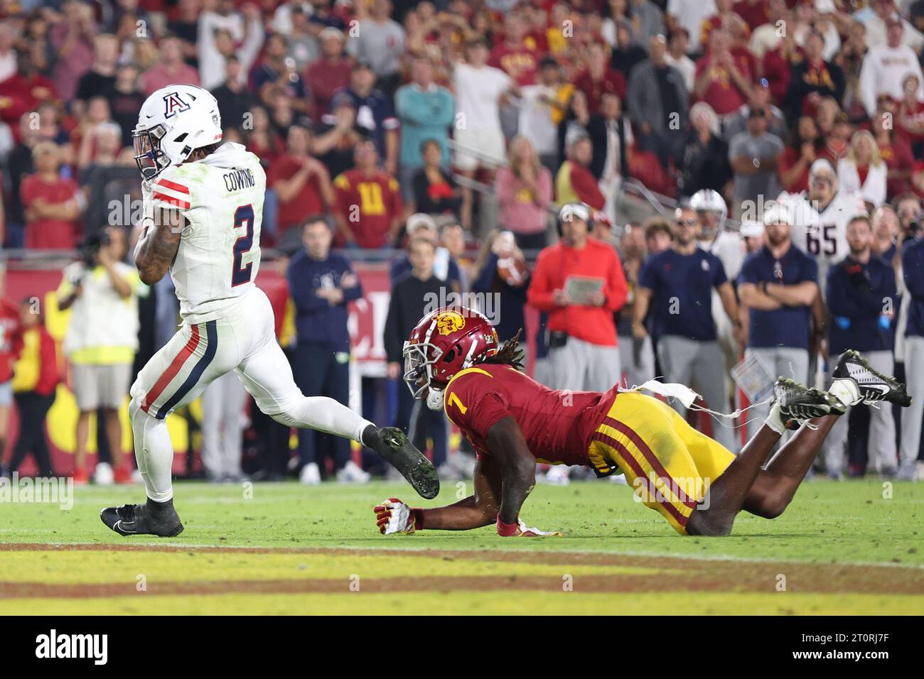 Jacob cowing arizona hi-res stock photography and images - Alamy