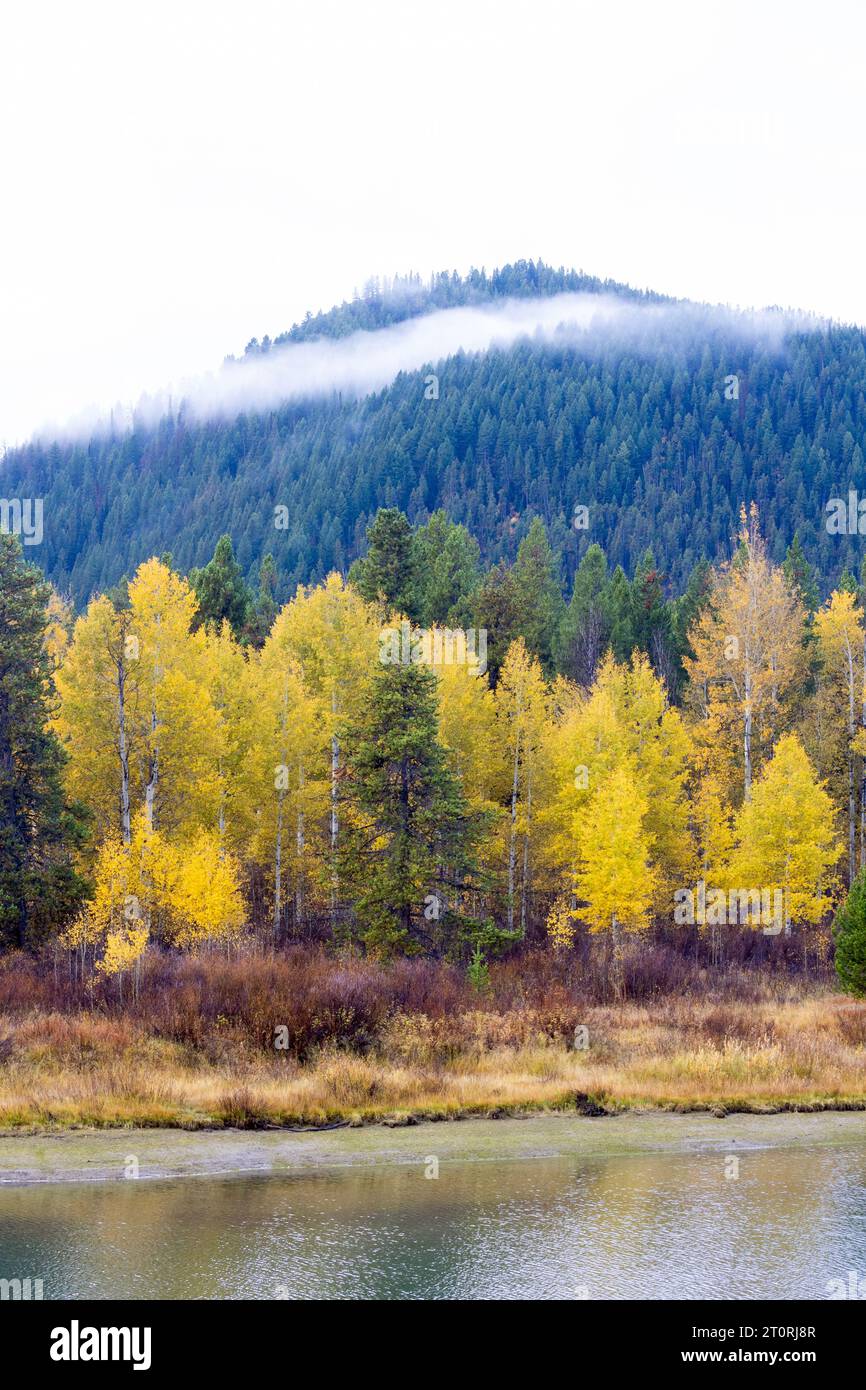Morning Low Lying Cloud on Hillside Stock Photo - Alamy