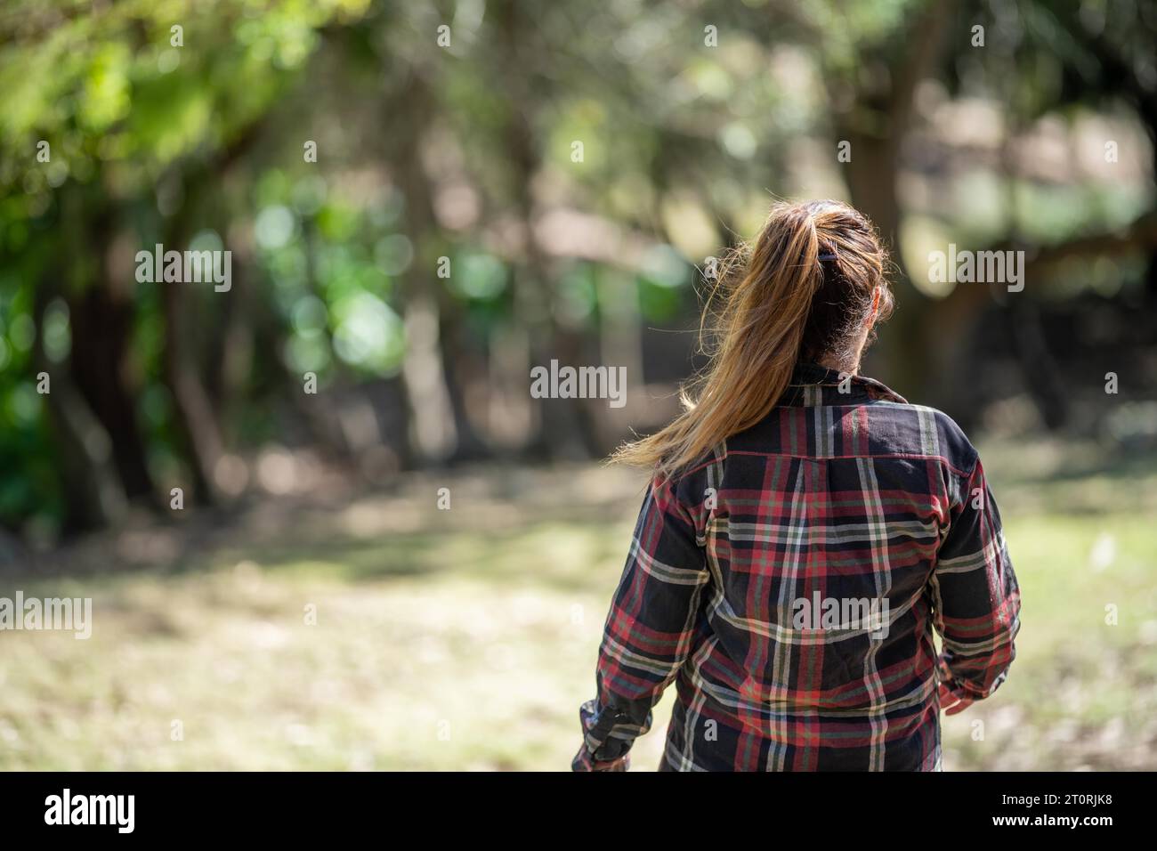 regenerative organic farmer, taking soil samples and looking at plant ...