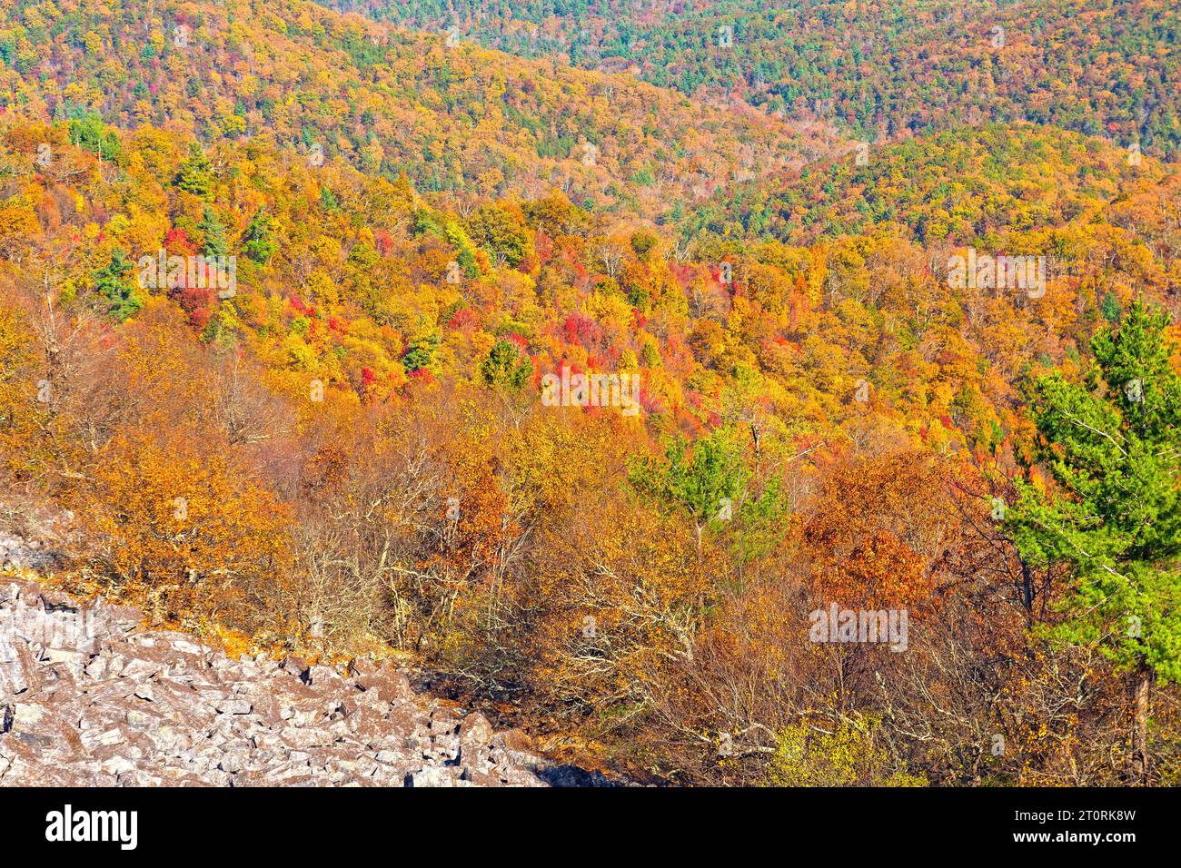 Autumn Colors Emerging From a Mountain Valley in Shenandoah National ...