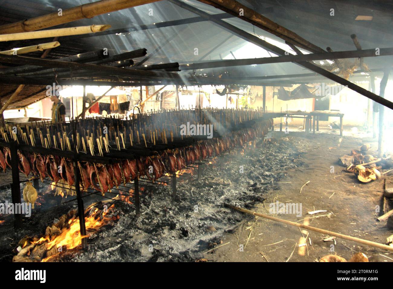 View of a smoked fish production workshop that uses skipjack tuna meats ...